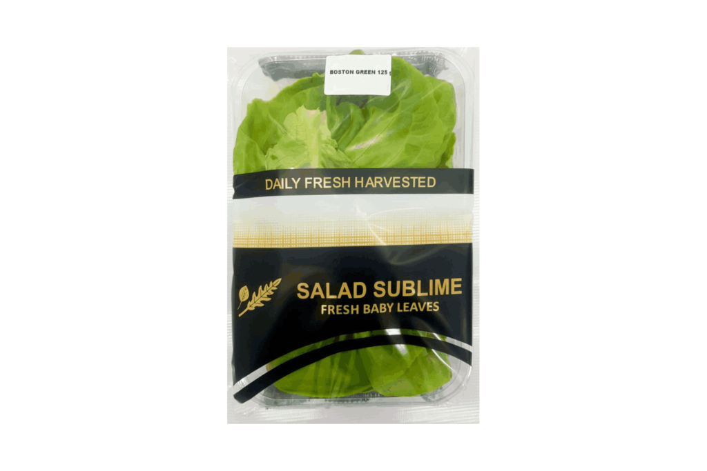 Lettuce Boston 125g – Emirates Hydroponics Farms