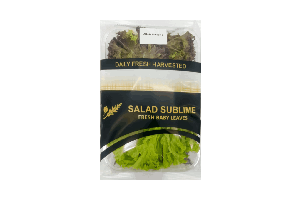 Lettuce Lollo Bionda 1Pc – Emirates Hydroponics Farms